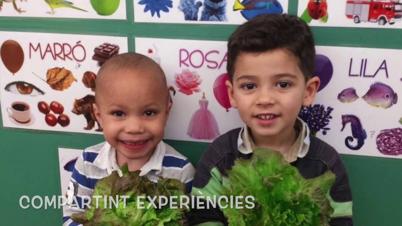 ESCOLA LABOURÉ "DEL SOMNI A LA REALITAT" - YouTube