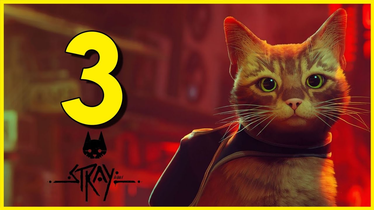 Stray 3. Bölüm ⚠️ DİKKAT: Kudurma içerir #Stray - YouTube