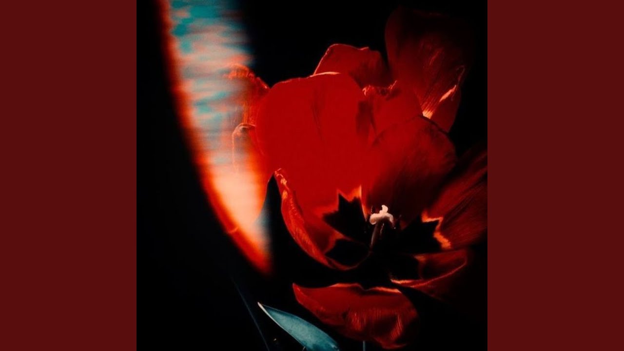 SCARLET - YouTube