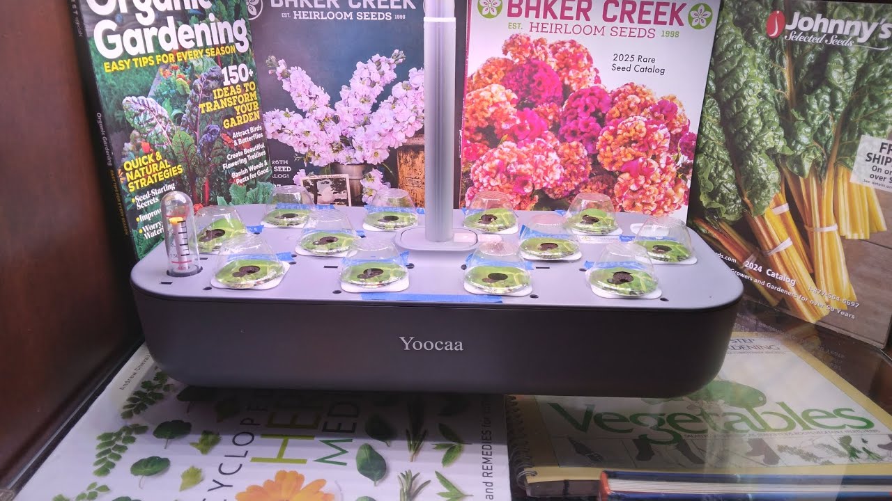 #WIG2024 Entry Video / How to set up the Yoocaa hydroponics unit - YouTube