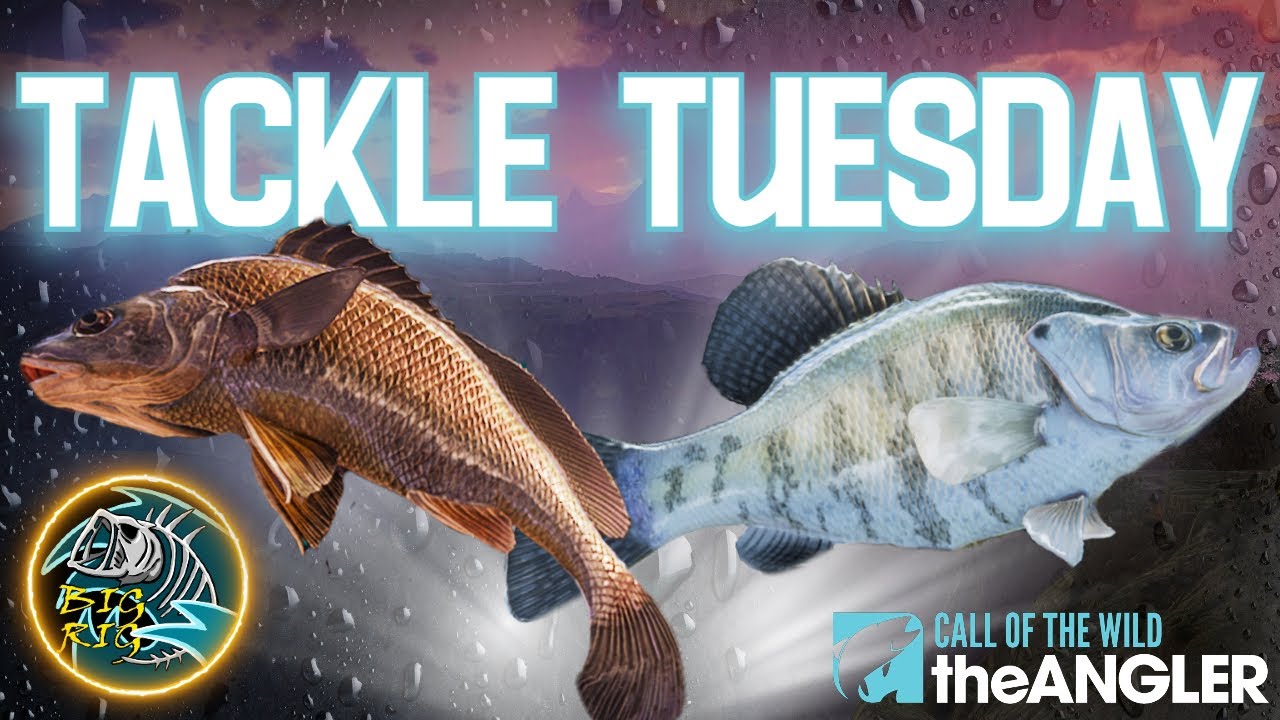 Tackle Tuesday! Fishing for Drum and White Crappie! TheAngler: Call of ...