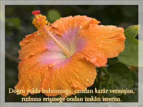 dertli oldum...dini ser