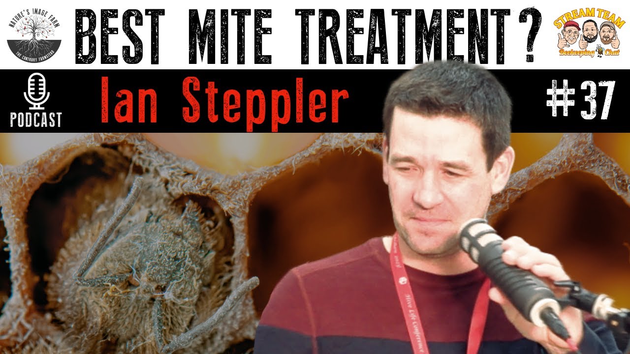BEST MITE TREATMENT ? w IAN STEPPLER & THE STREAM TEAM - YouTube