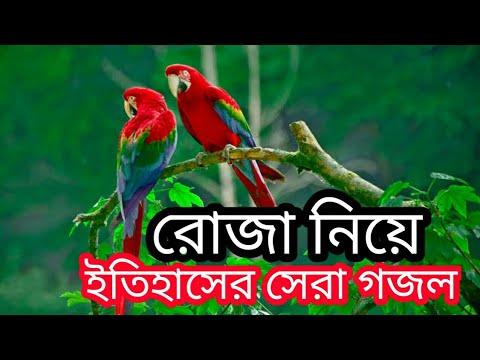 রোজা নিয়ে ইতিহাসের সেরা গজল_ bangla new gojol