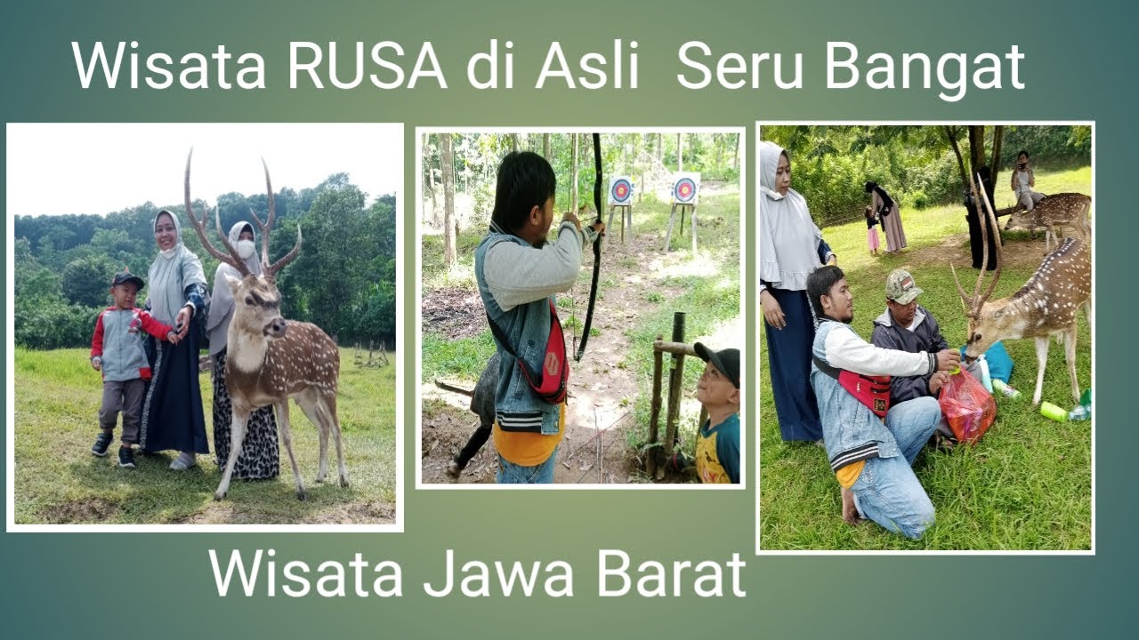 Liburan Tahun baru 2022 Di Taman Rusa Cariu.Bogor - YouTube