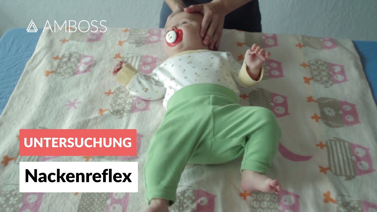 Asymmetrischer tonischer Nackenreflex - Pädiatrie - Frühkindliche ...