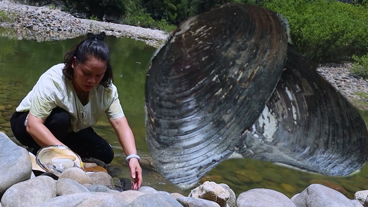 In the wild Tianyan Lake, mature clam shells spit out bright pearls of ...