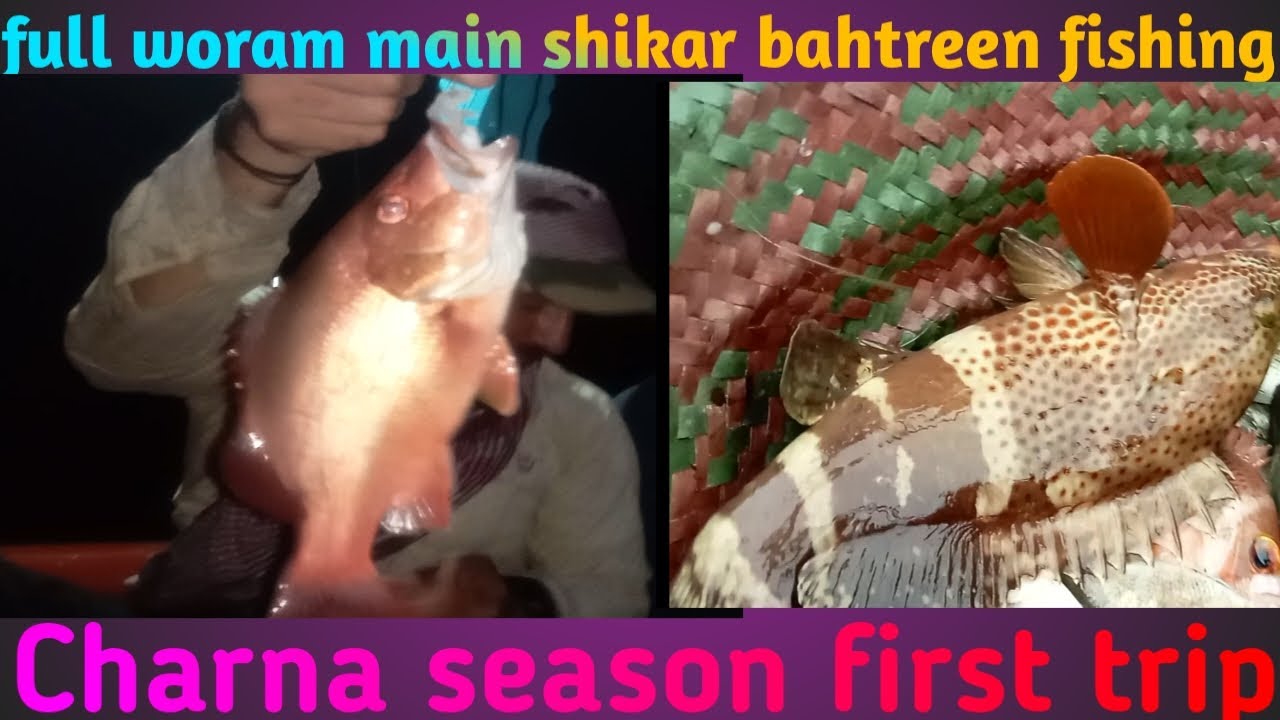 Charna Bottom fishing | Alhamdulliha season first trip is done | charna ...