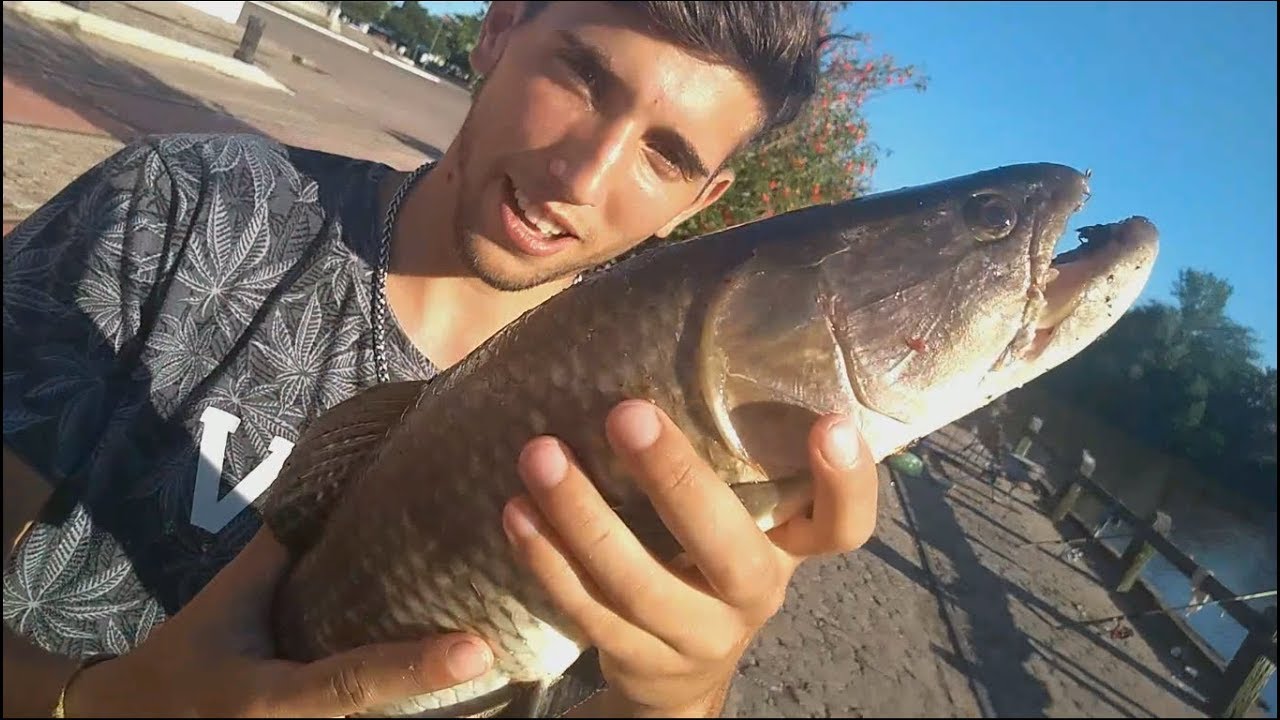 Pesca de Pati , Tarariras Y Boga - YouTube