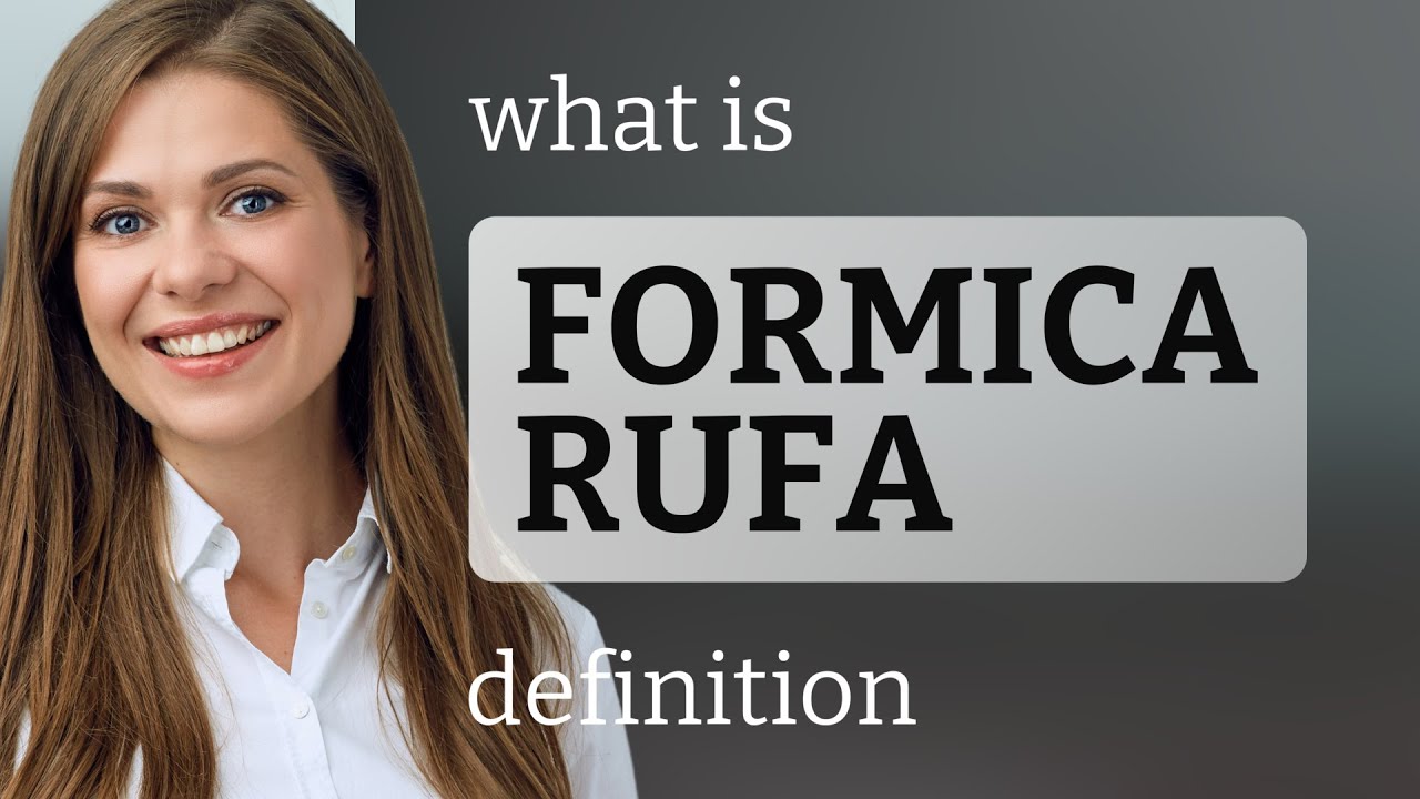 Formica rufa • what is FORMICA RUFA definition - YouTube