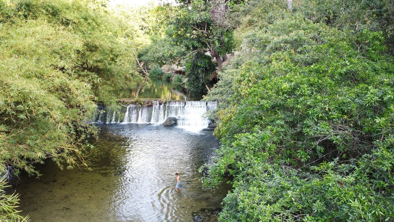 Los encantos del río Toribio: un paraíso ecológico entre Ciénaga y ...