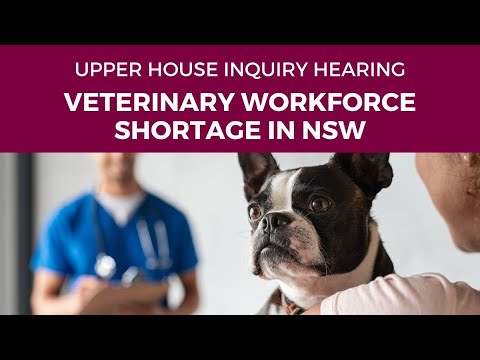 Public Hearing – PC 4 – Veterinary workforce shortage in New South ...