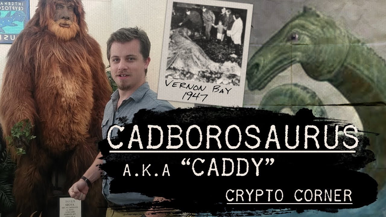 Crypto Corner: Cadborosaurus (Caddy) - YouTube