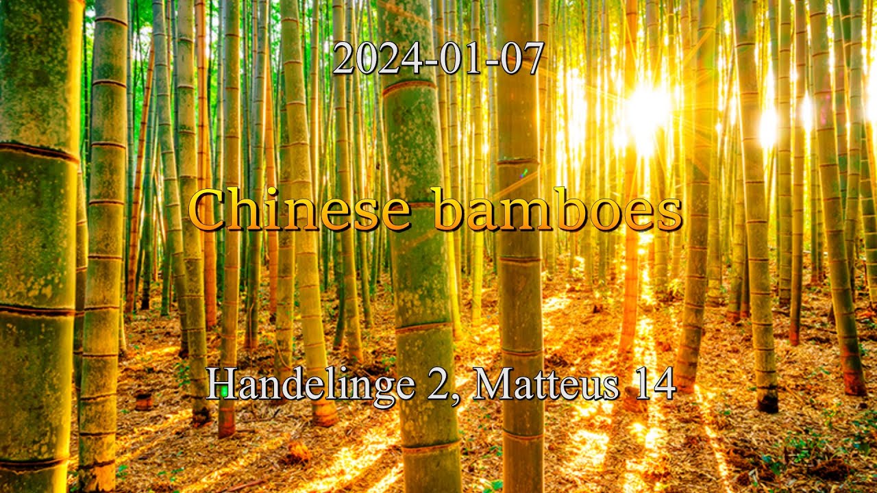 Chinese Bamboes | 08h20 Diens | Stilbaai NG Gemeente - YouTube