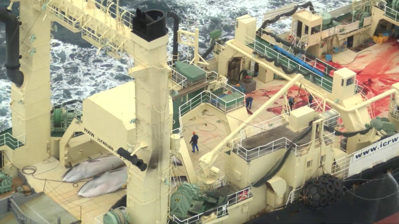 First Sighting - YouTube