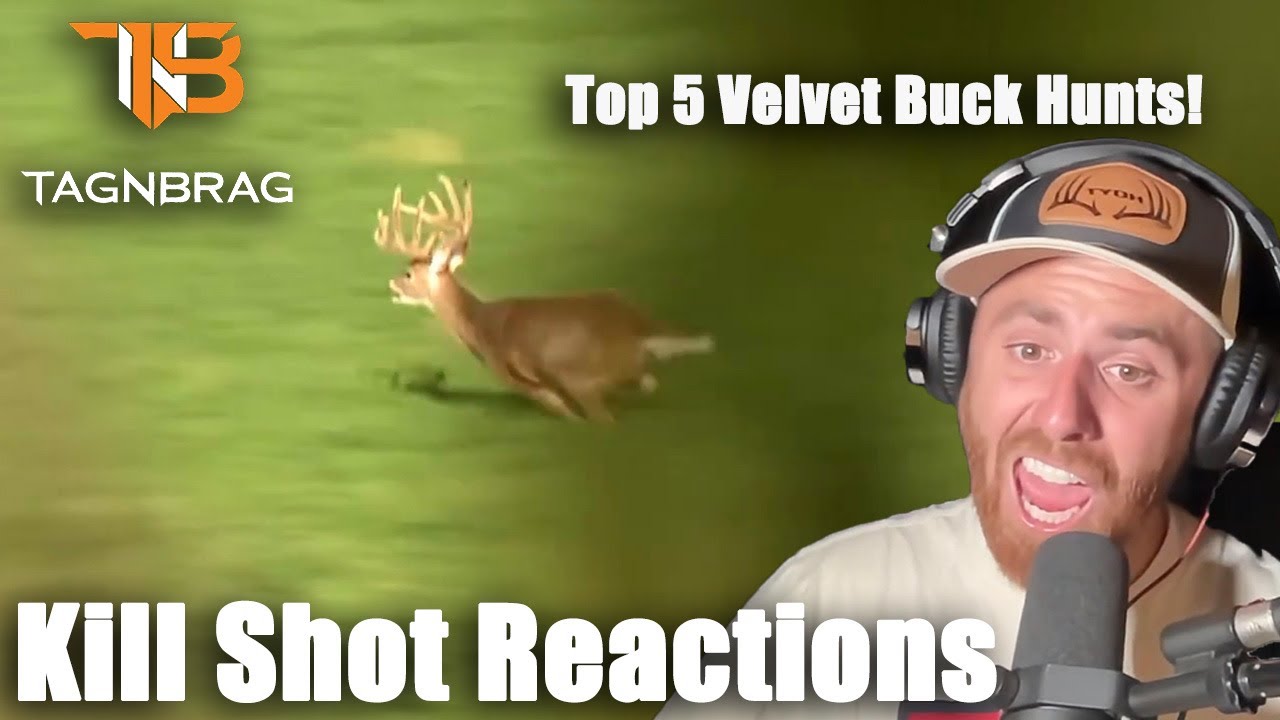 Top 5 Velvet Buck Hunt REACTIONS - YouTube