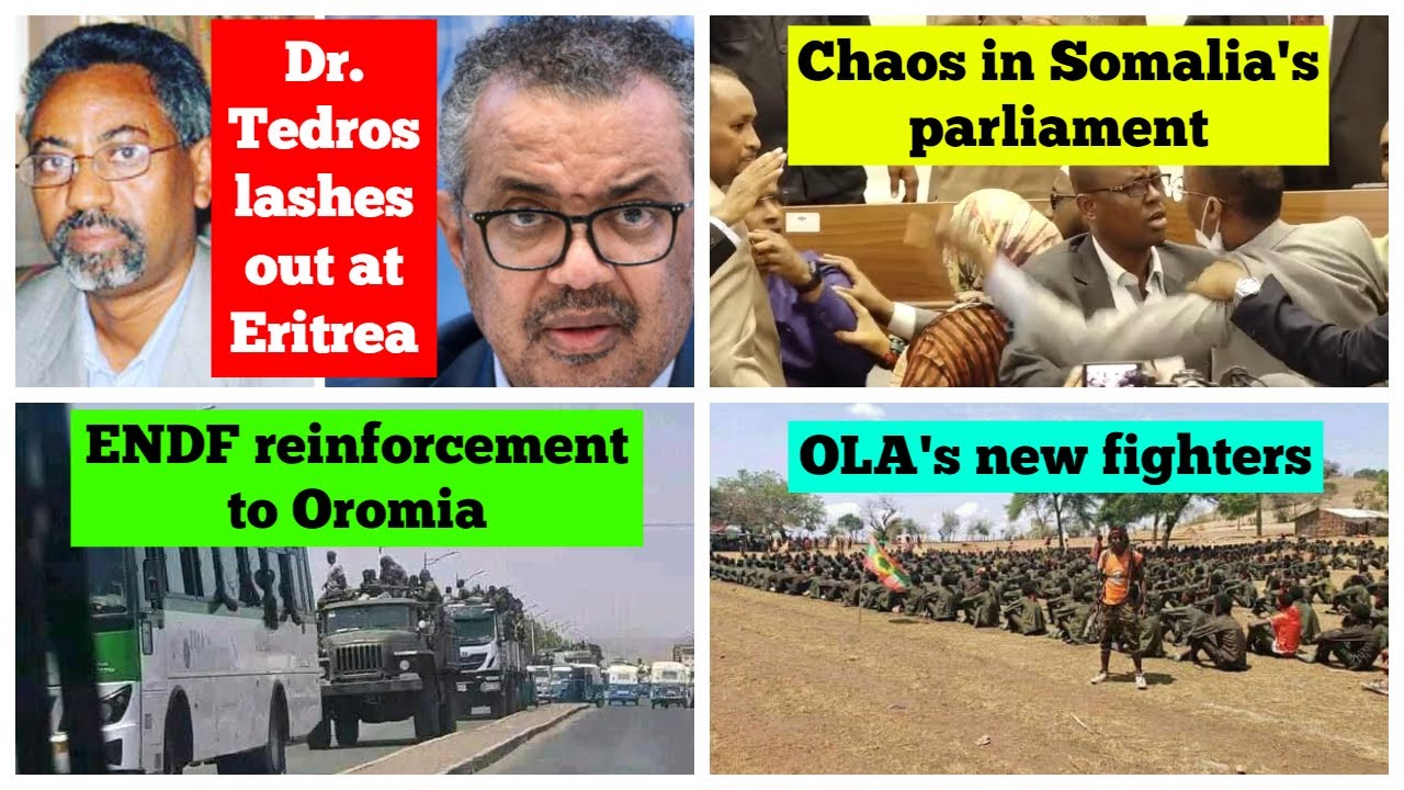 Dr. Tedros lashes out at Eritrea | Chaos in Somalia's parliament | OLA ...