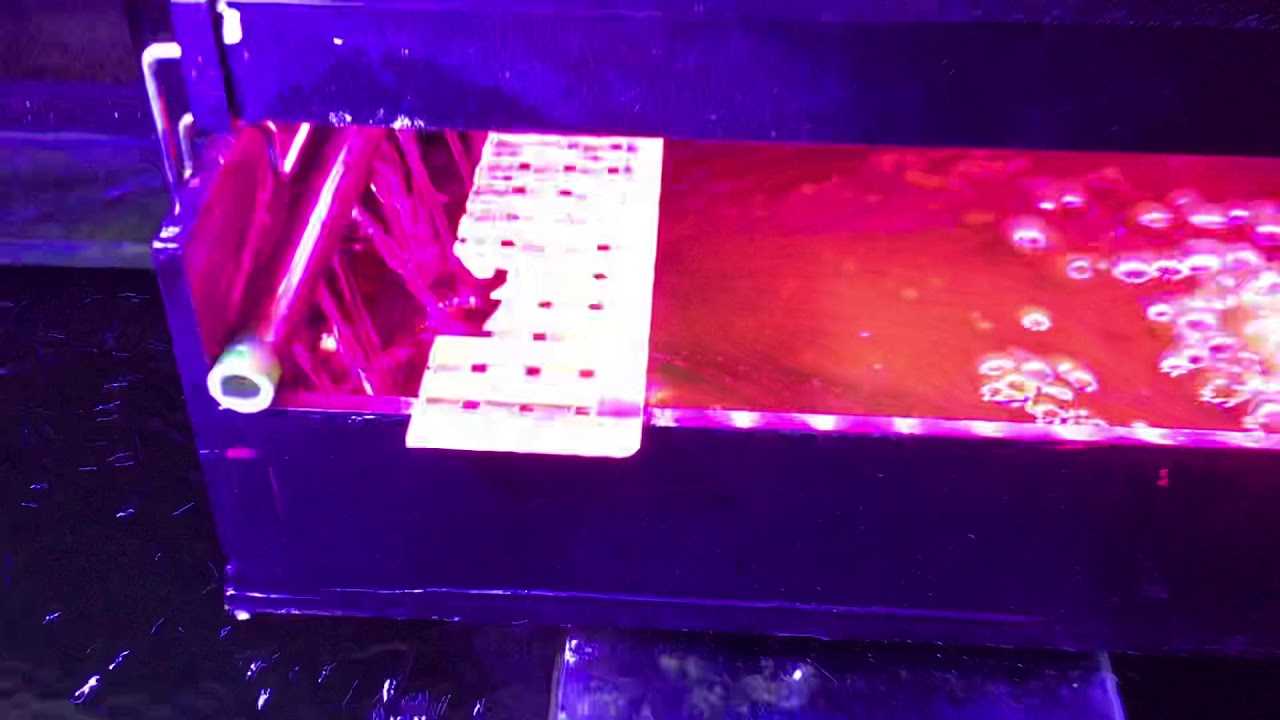 Fresh water horizontal algae scrubber! - YouTube