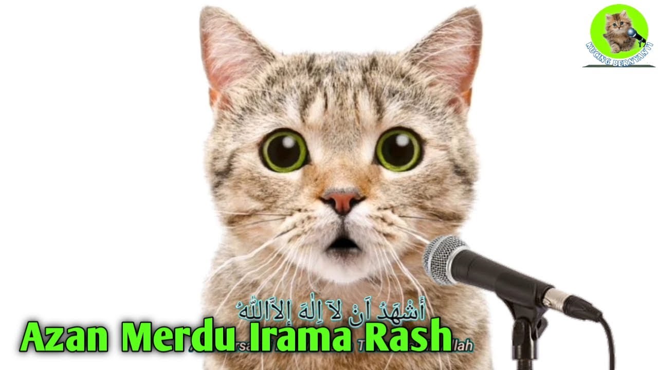 SUARA AZAN MERDU IRAMA RASH VERSI KUCING LUCU | Kucing Bernyanyi - YouTube