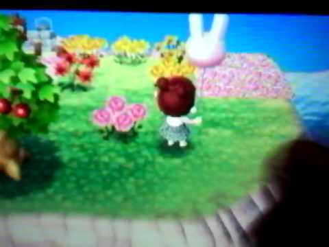 Comment faire une rose noir acnl - YouTube