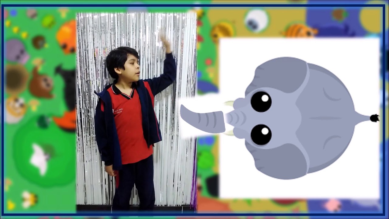 English Project - Amazing Animals - Matías - YouTube