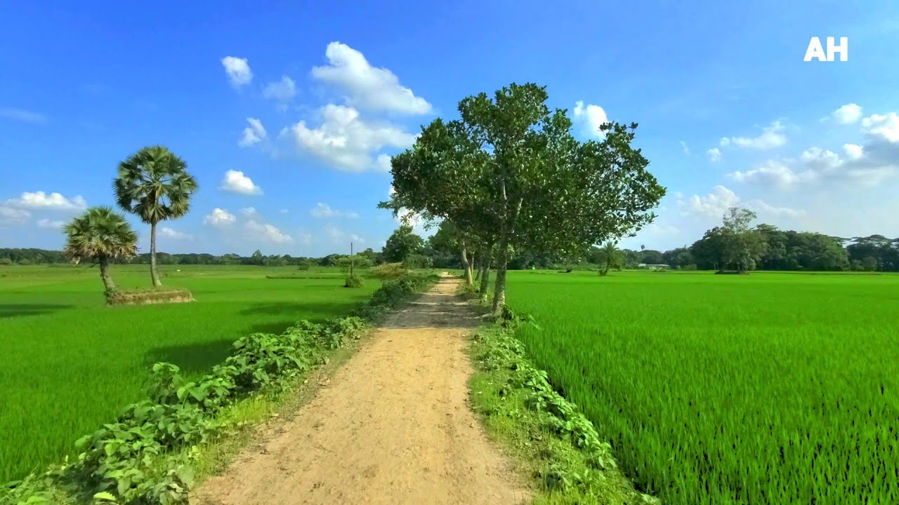 Road of village Rosulpur | Gafargaon Mymensingh Bangladesh ...
