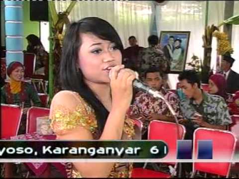 SAVANA reggae exited yoman