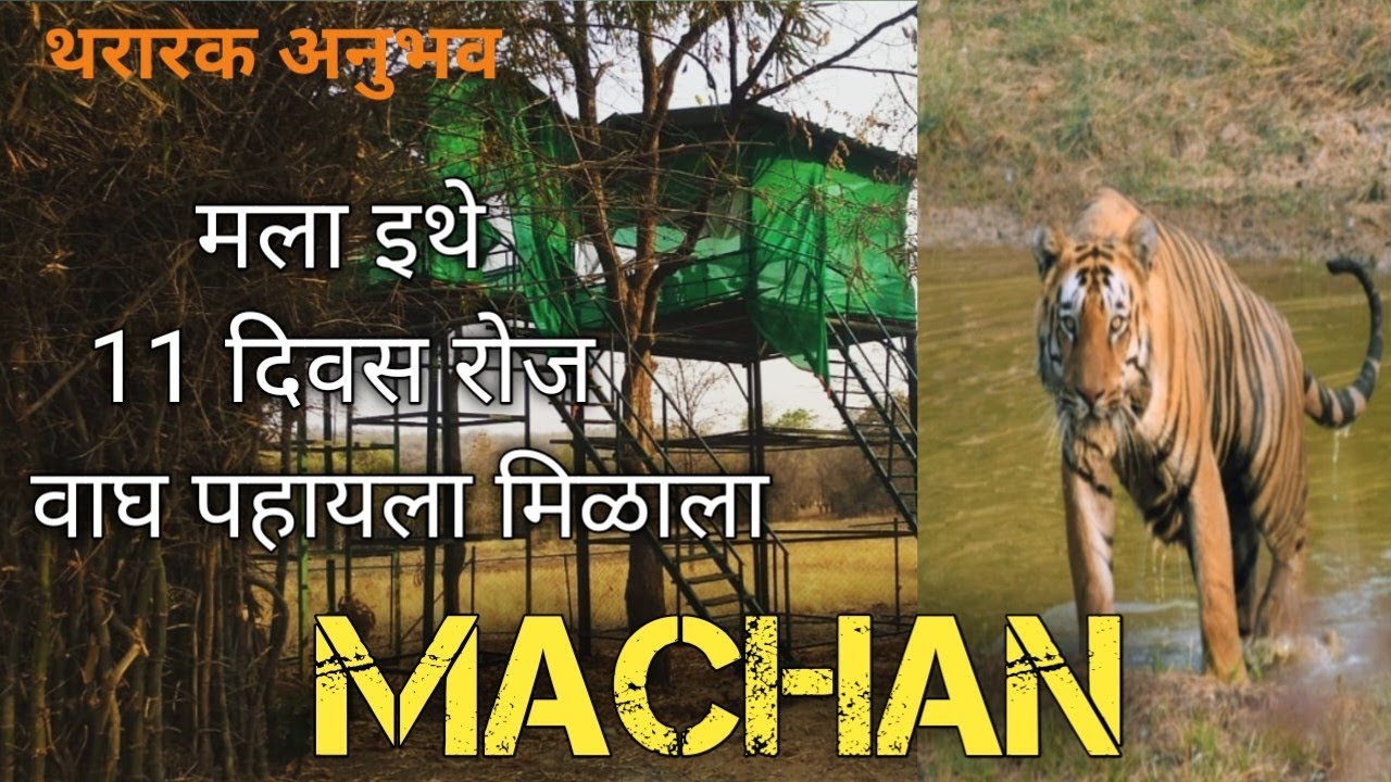 Tadoba National Park || Machan Safari चा अनुभव || WILD ZONE 04 - YouTube
