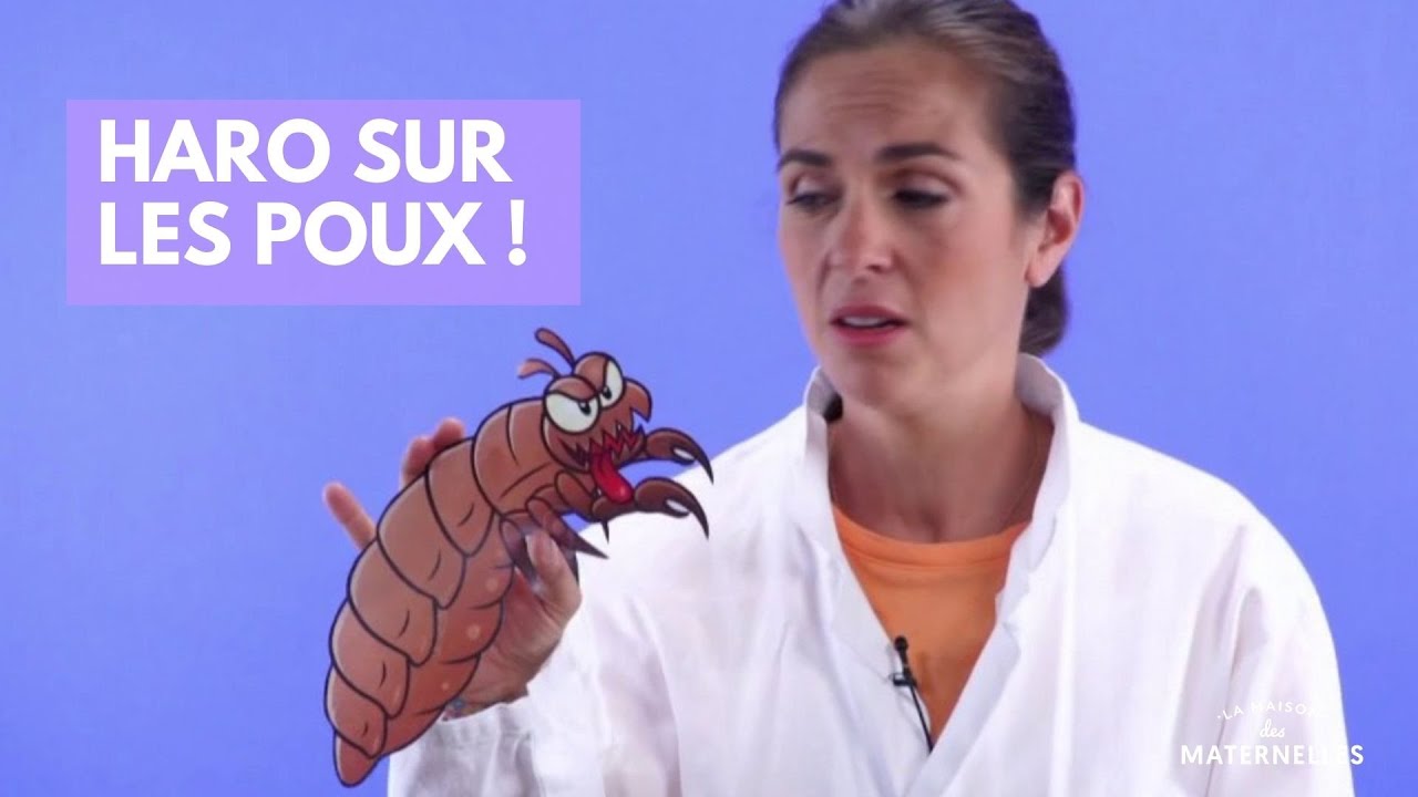 Haro sur les poux ! - La Maison des maternelles #LMDM - YouTube