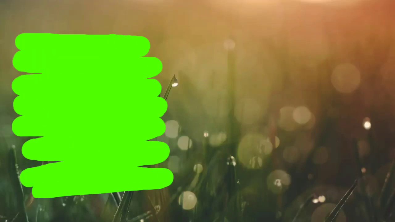 New green effect video - YouTube