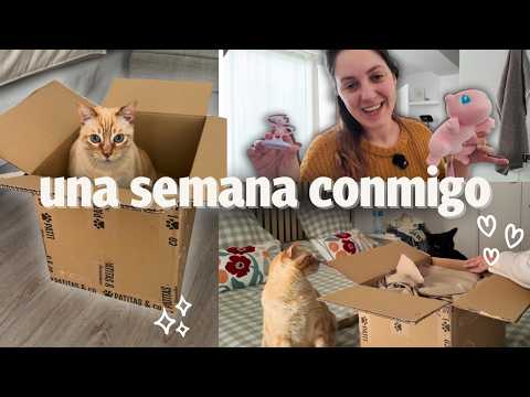 Nueva comida de gatos y limpieza a fondo 🏡 *vlog semanal*
