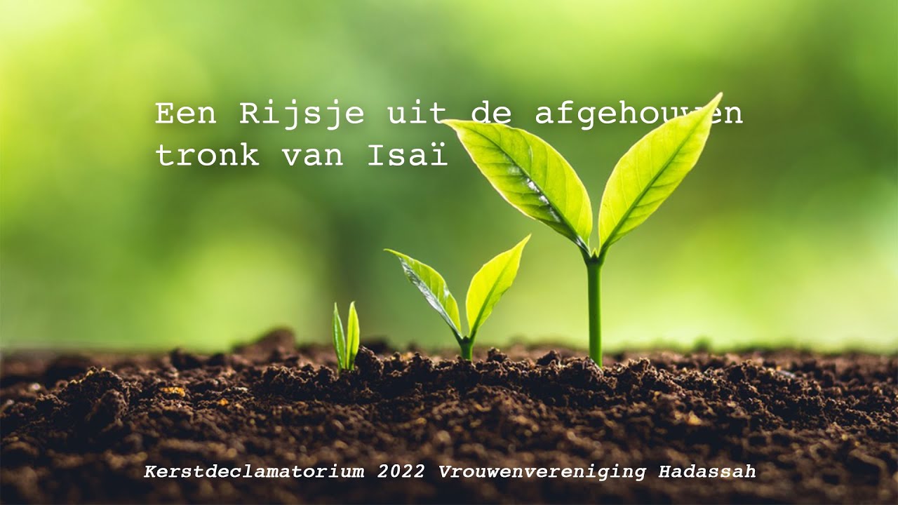 CGK Elburg | Kerstdeclamatorium 2022 'Een Rijsje uit de afgehouwen ...