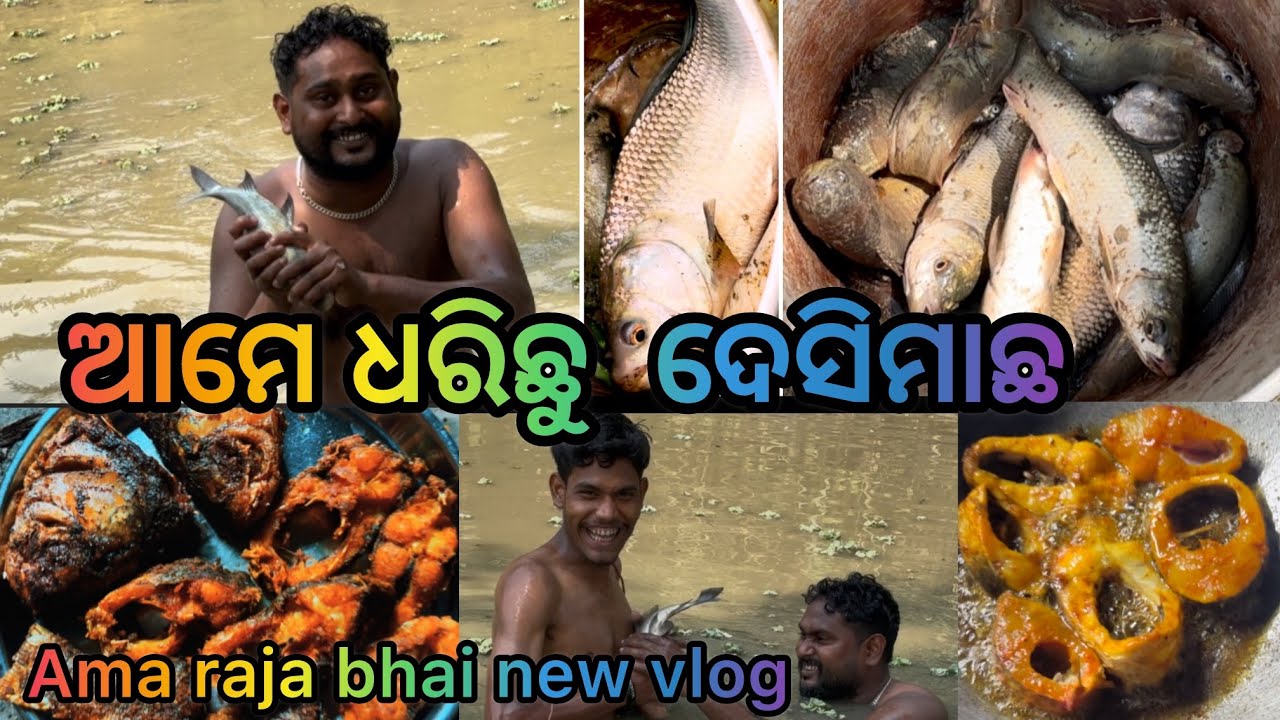 ଆମେ ଧରିଛୁ ଦେସିମାଛ Ama raja bhai new vlog video Desi fish Talab ki fish ...