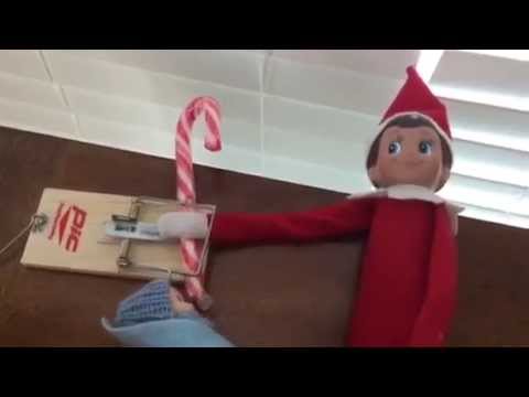I CAUGHT MY ELF IN "AN ELF TRAP" - YouTube