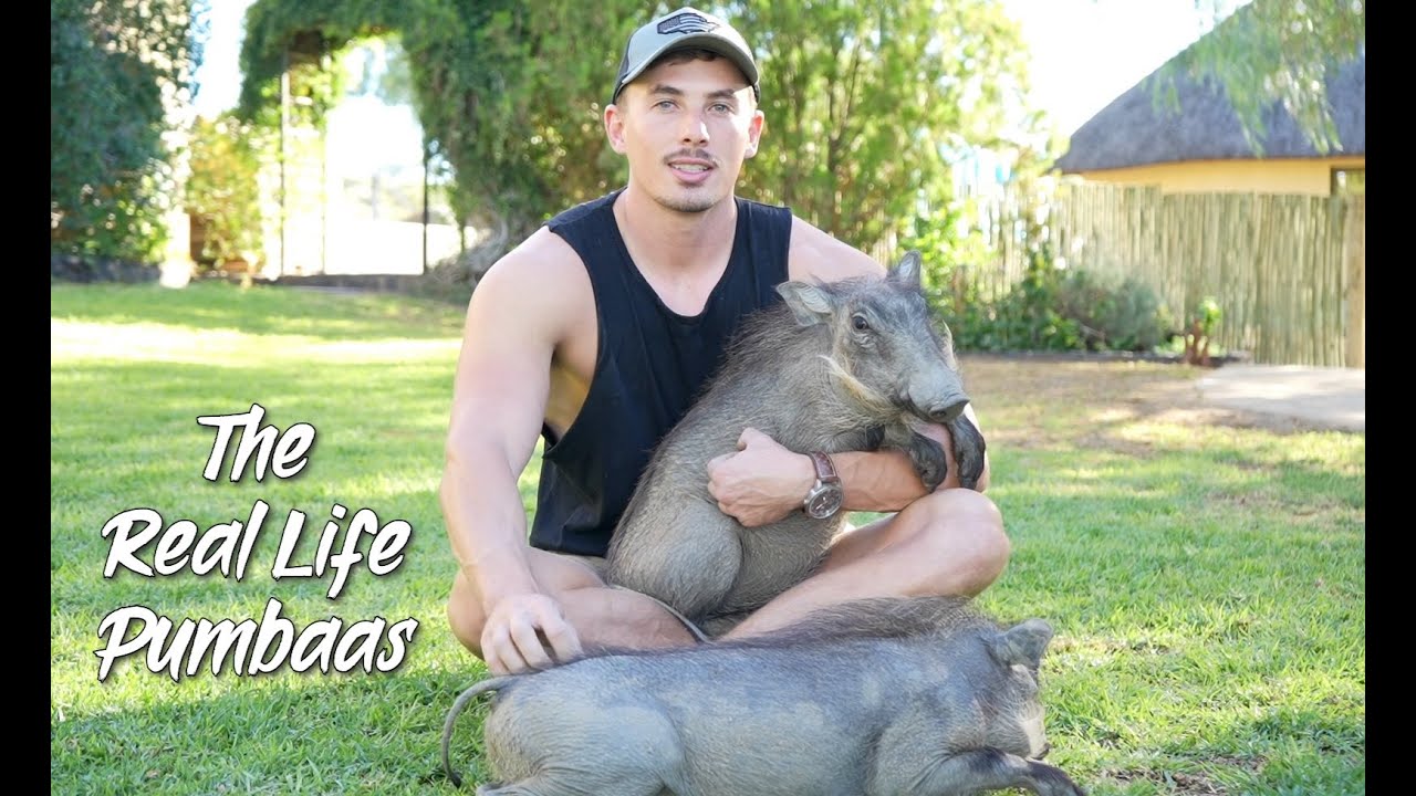 All About The Real Life Pumbaas - YouTube