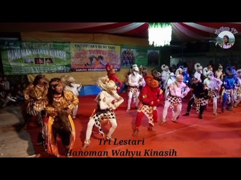 Tari Monyet, Hanoman Wahyu Kinasih || Dusun Garung, Kalikajar @arliantv ...