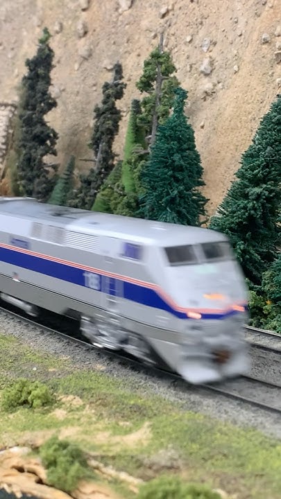 Amtrak Sunset Limited passing by #funrun #fun #texas #hoscale #modeltrains #sanantonio #amre # ...