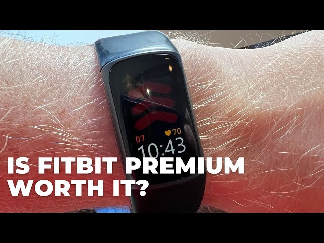 Is Fitbit Worth The Money