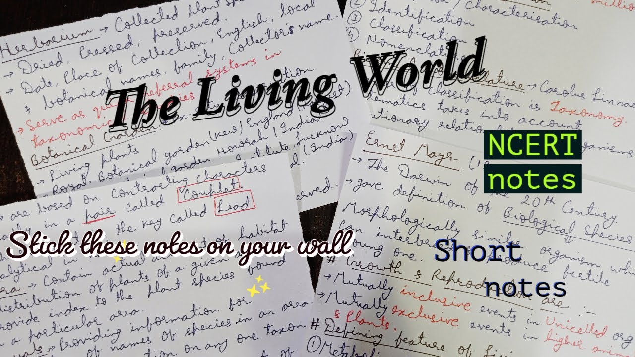 Living world/short sticky notes/for NEET/ncert notes - YouTube