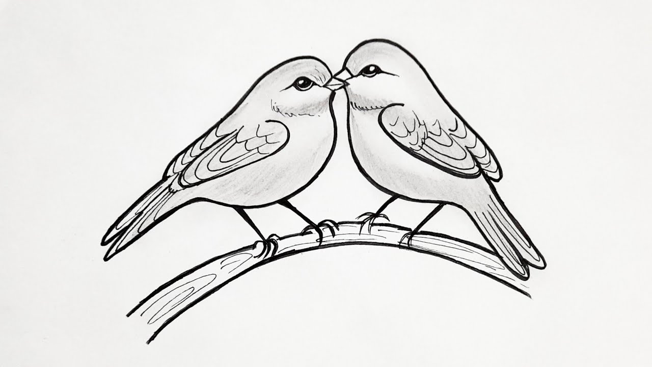 How to draw two birds sitting on a branch || Birds drawing - YouTube