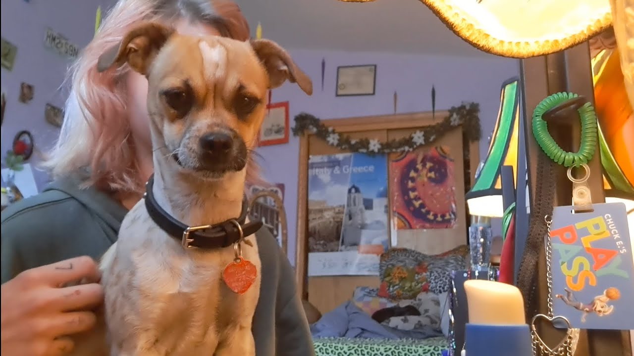 miss monkey ! - YouTube