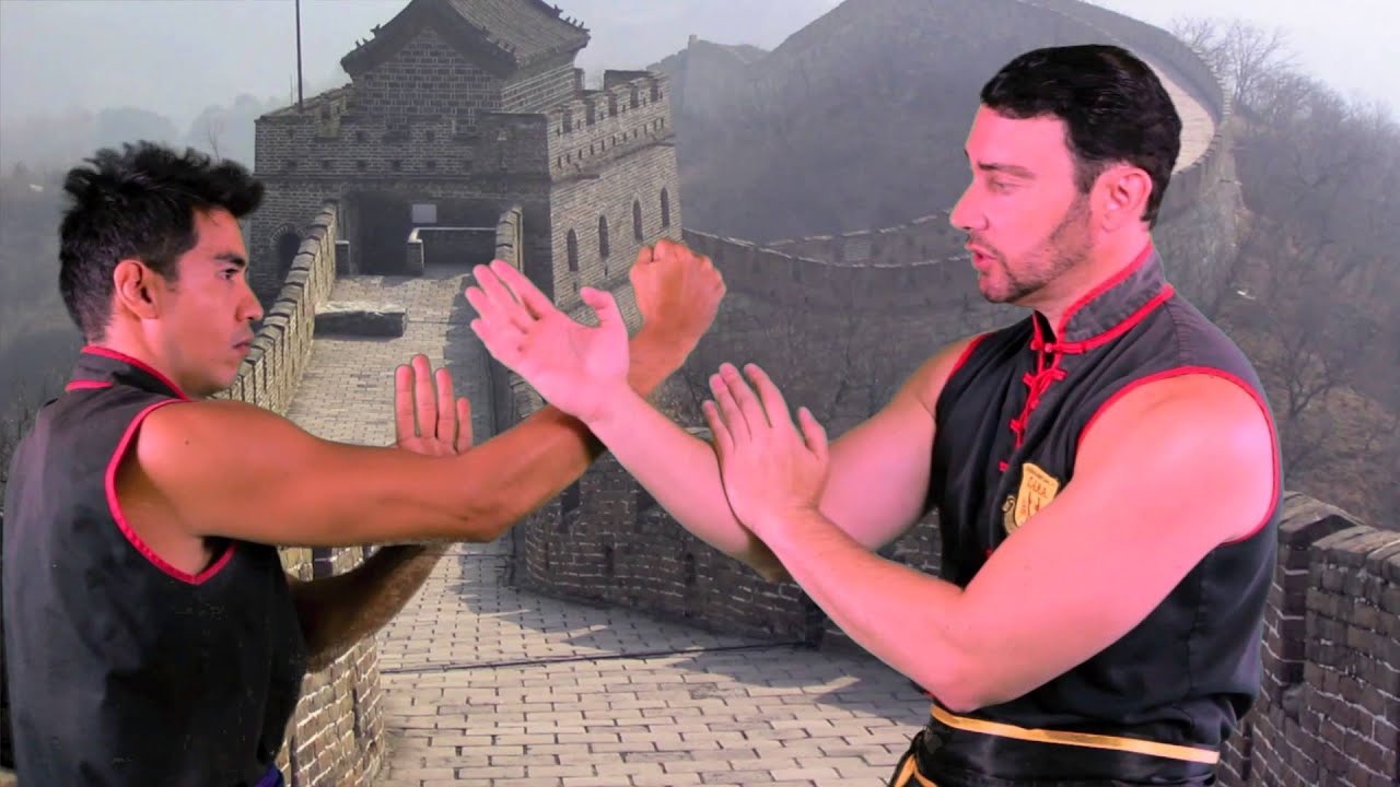 Learn Wing Chun Pak Sau in One Minute | Sifu Tei - YouTube