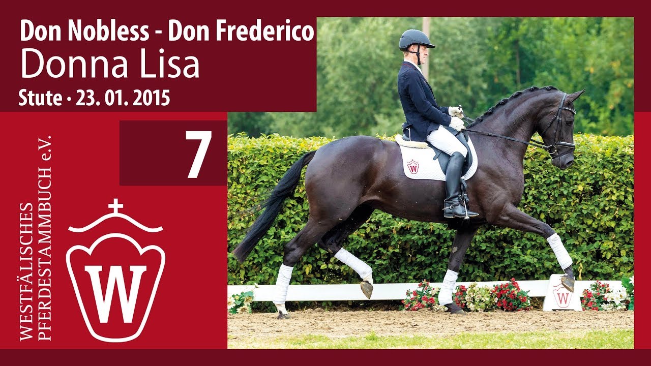 07 Donna Lisa Stute v. Don Nobless - Don Frederico - YouTube