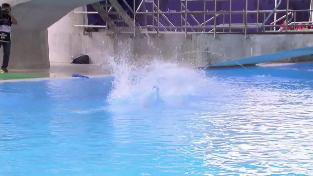 THE 2019 SEA GAMES DIVING COMPETITION - YouTube