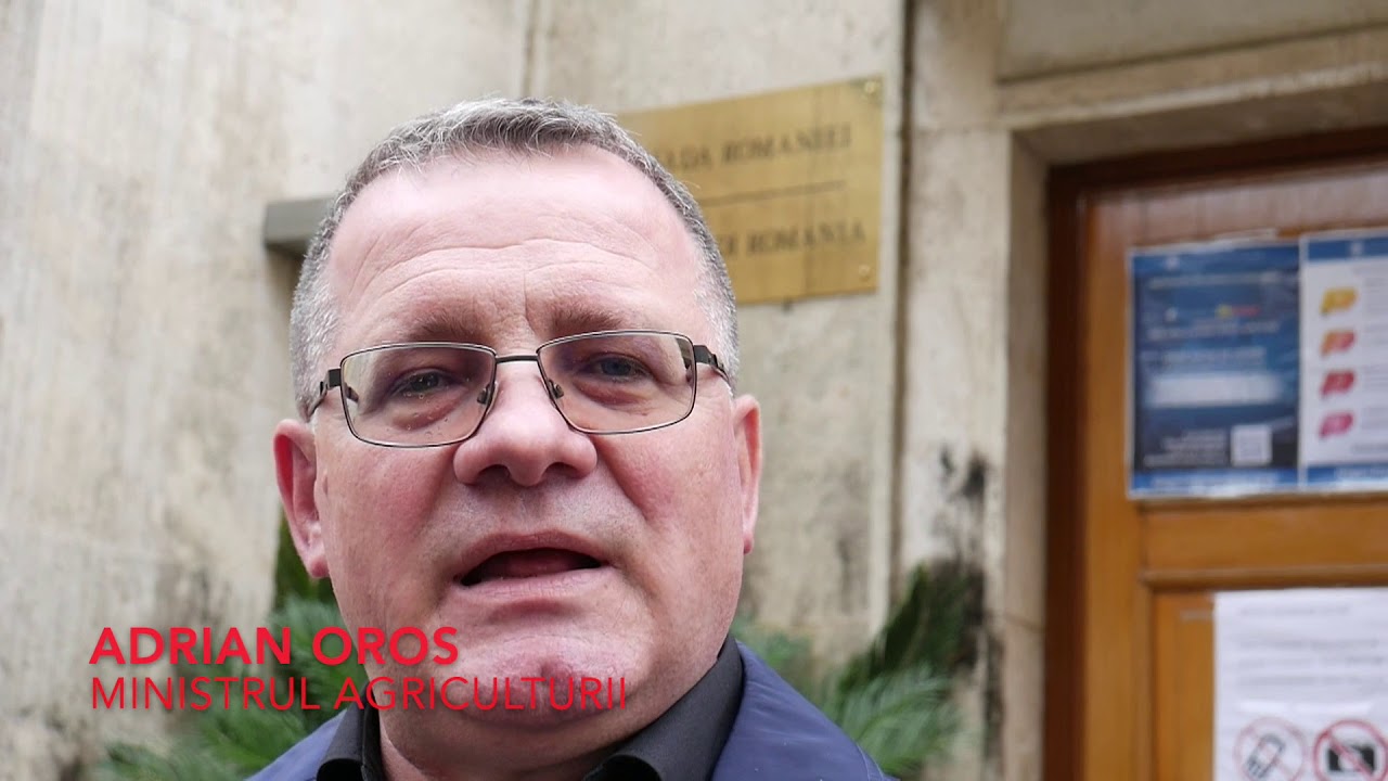 Ministrul Agriculturii, Adrian Oros, a votat la Roma - YouTube