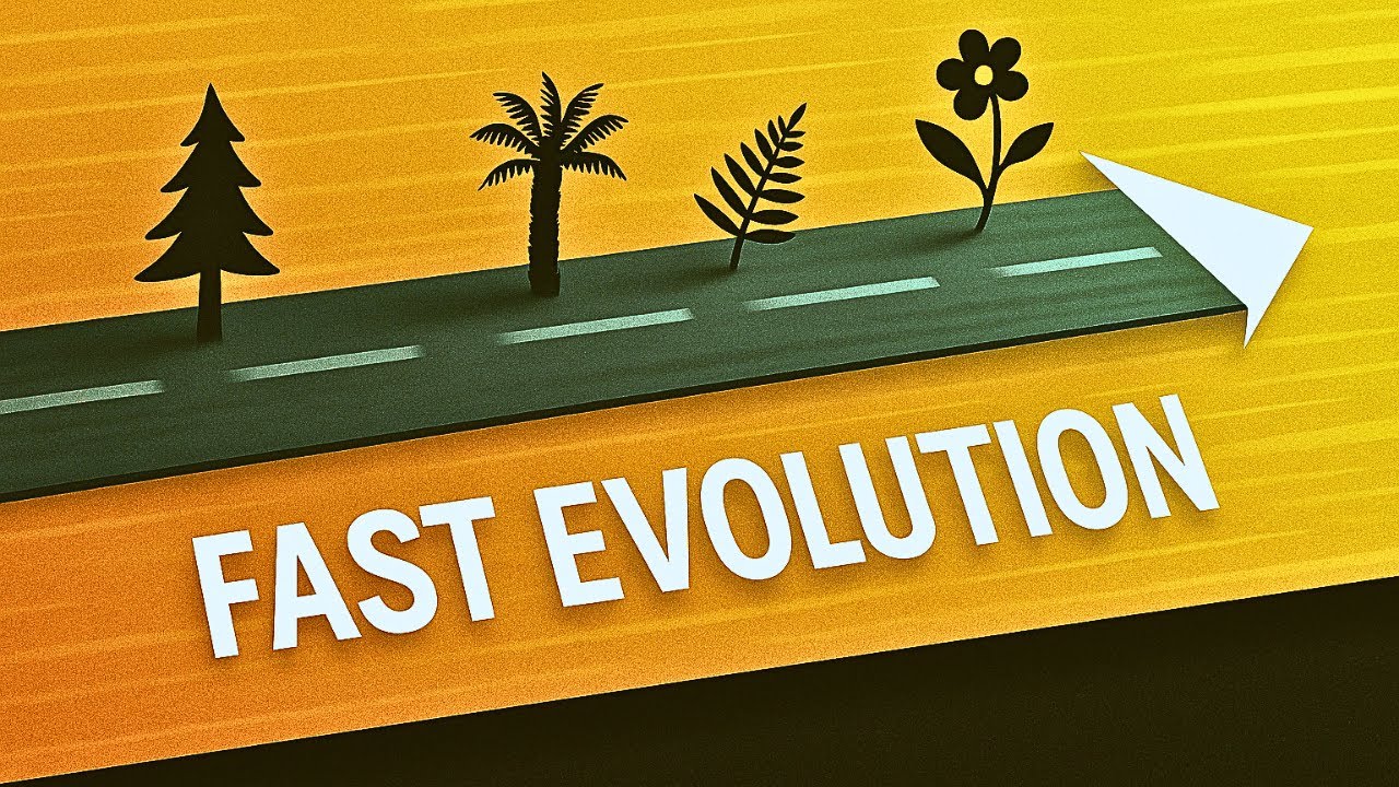 How Flowers Conquered Earth in 30 Million Years - YouTube