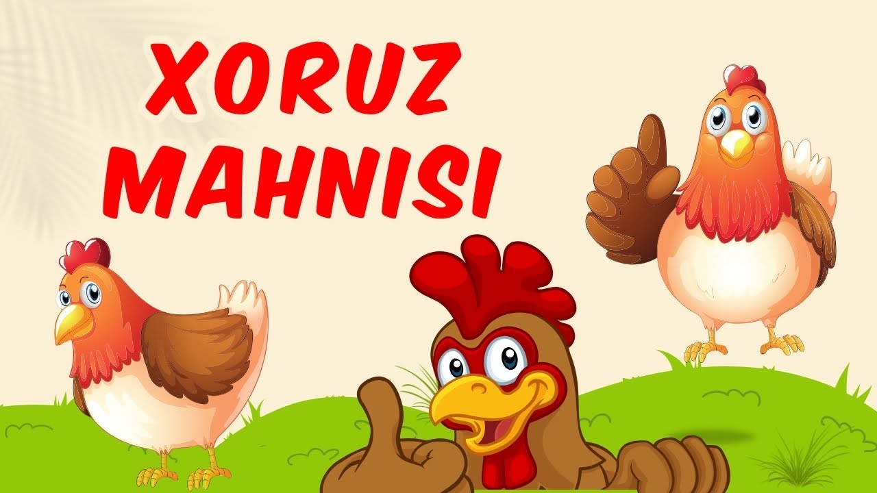 XORUZ / UŞAQ MAHNISI / Azərbaycan dilində öyrədici Mahnılar - YouTube
