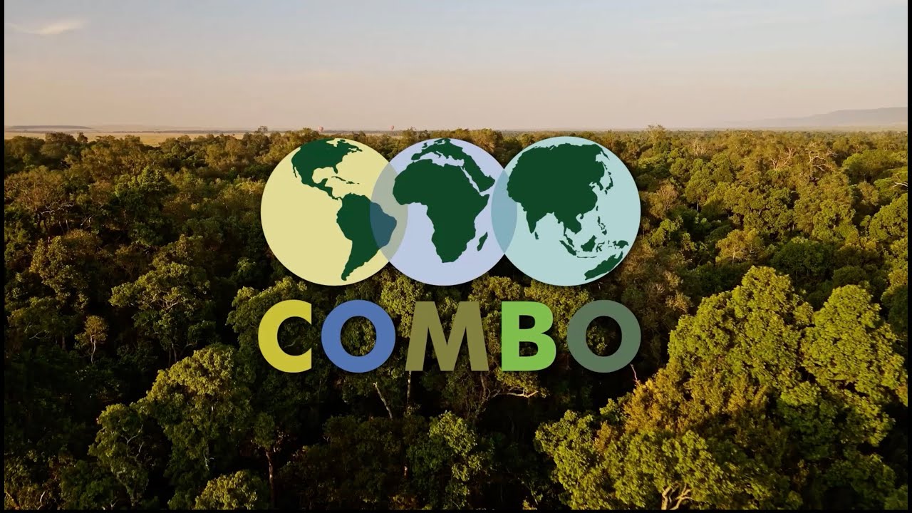 WCS | Programa COMBO+ Moçambique - YouTube