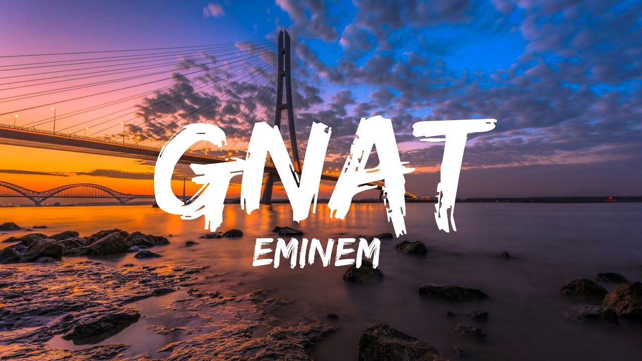 Eminem - Gnat (Lyrics) (QHD) - YouTube