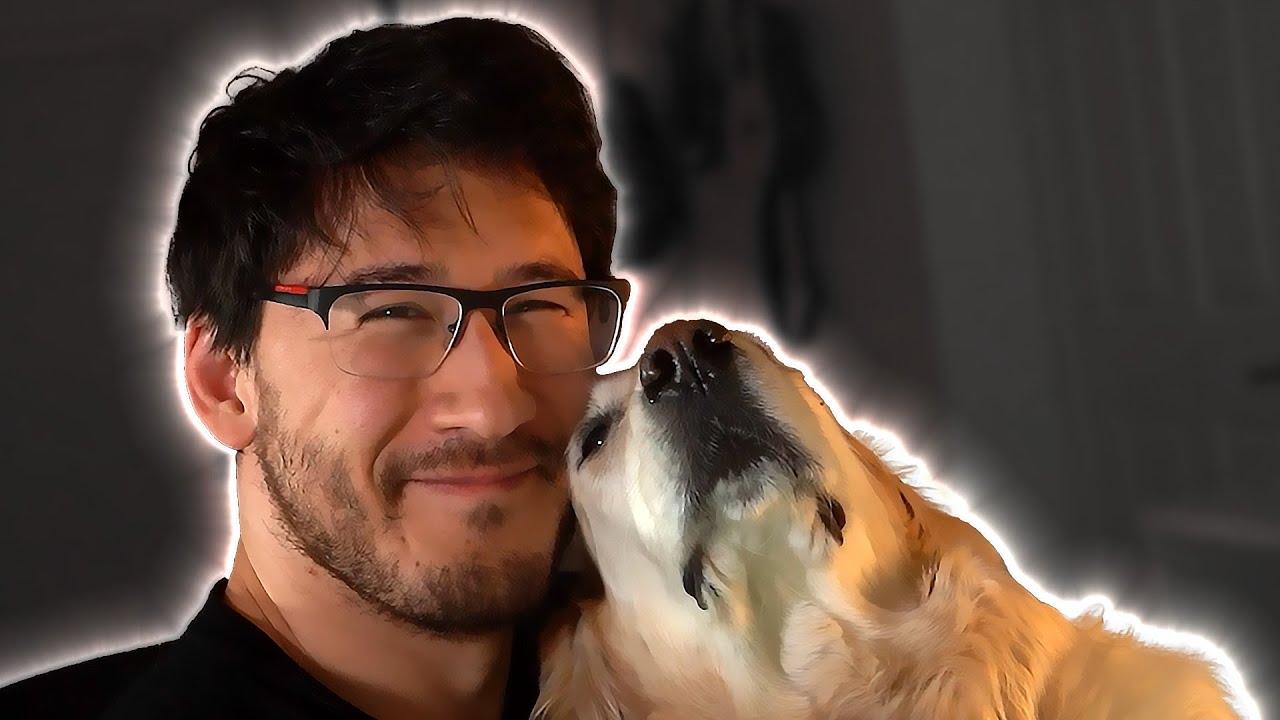 What Breed Is Markipliers Dog Chica
